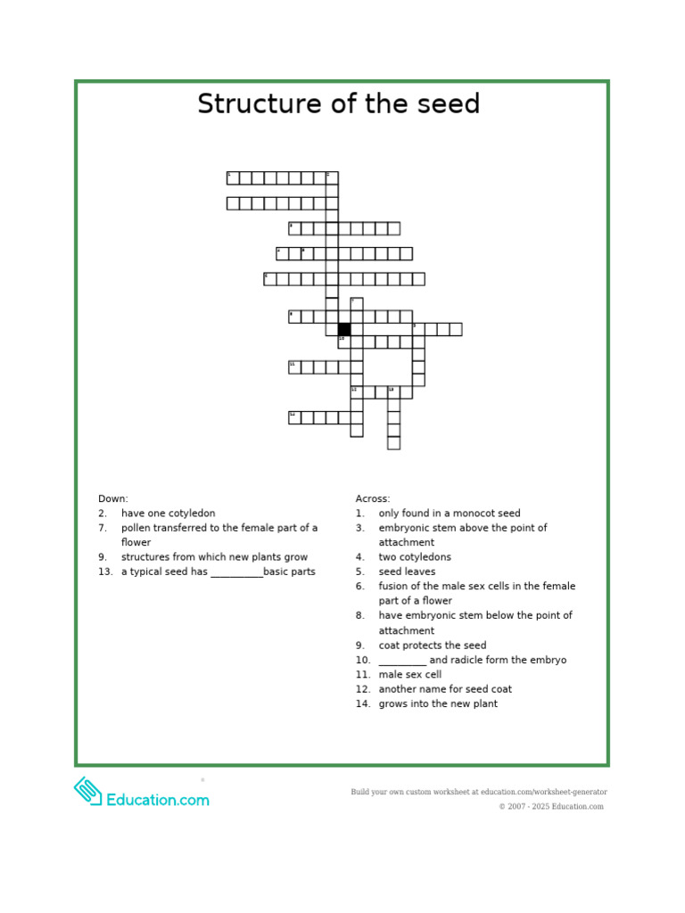 Seed Structure Worksheet for Class 5 | PDF