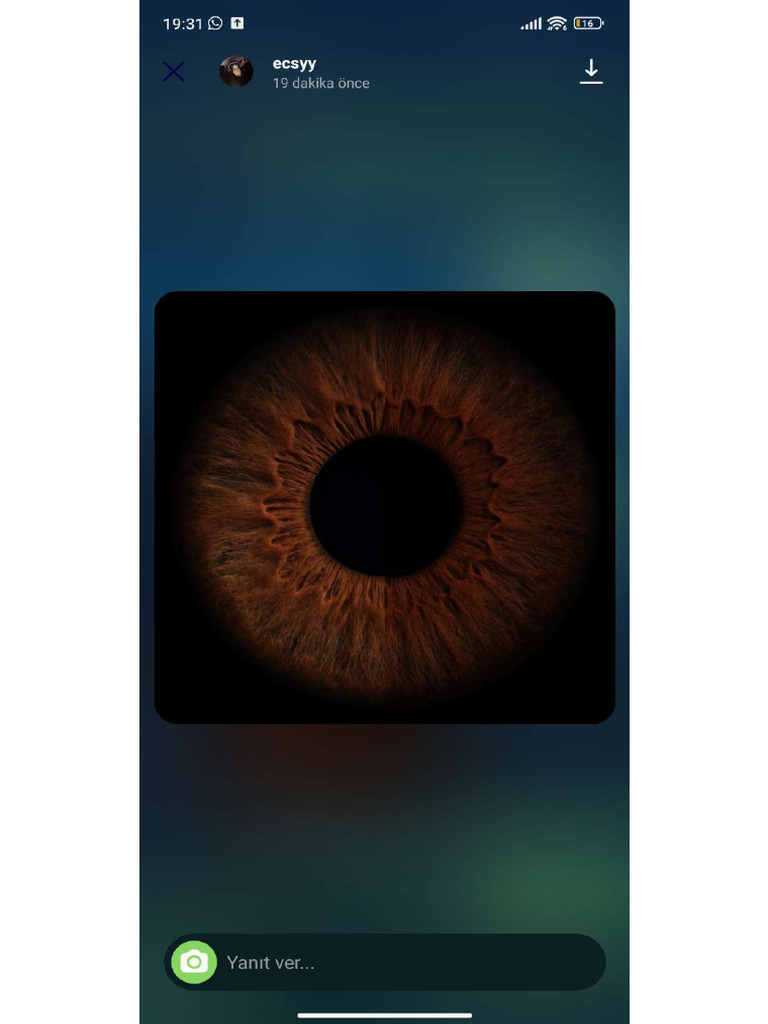 Ti̇tle İs Eyes For Two Eyes Flexi̇ng İs Ni̇ce | PDF