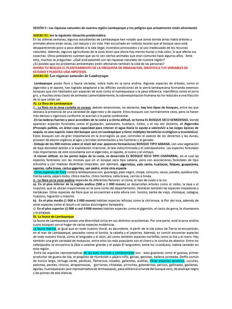 Riquezas Naturales de Lambayeque | PDF | Los bosques | Arboles