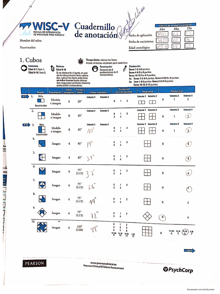 Wisc Ayellen | PDF | Memoria de trabajo | Memoria