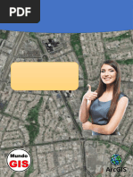 Guía Geocercas | PDF | Color | Haga doble clic