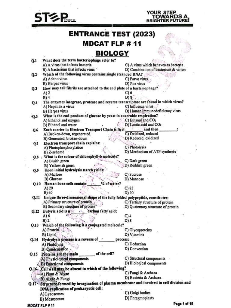 FLP 11 Step 2023 + Key | PDF