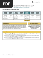 The Medicine Bag | PDF