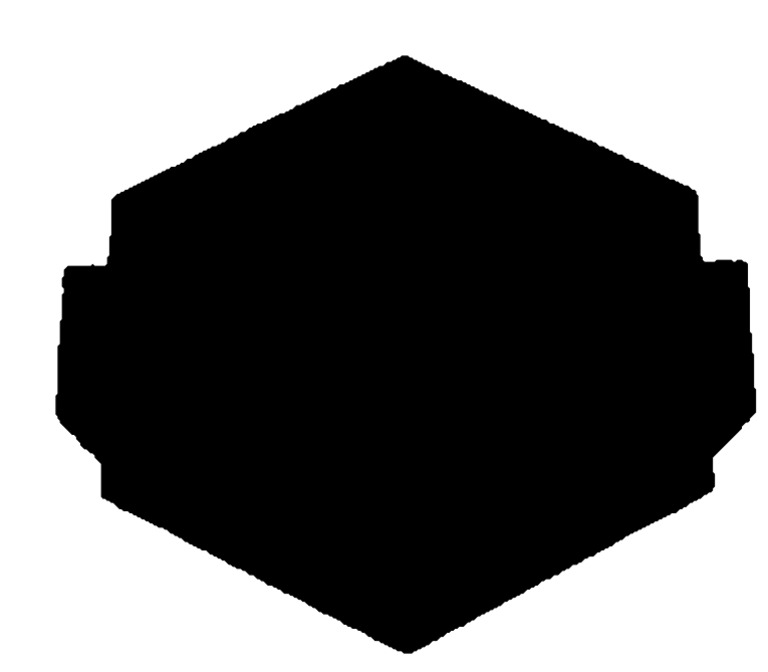 Logo Trans Lago Vectorizado Ai | PDF