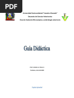 05 Tejidos Epiteliales III Especializaciones Del Dominio Basolateral ...