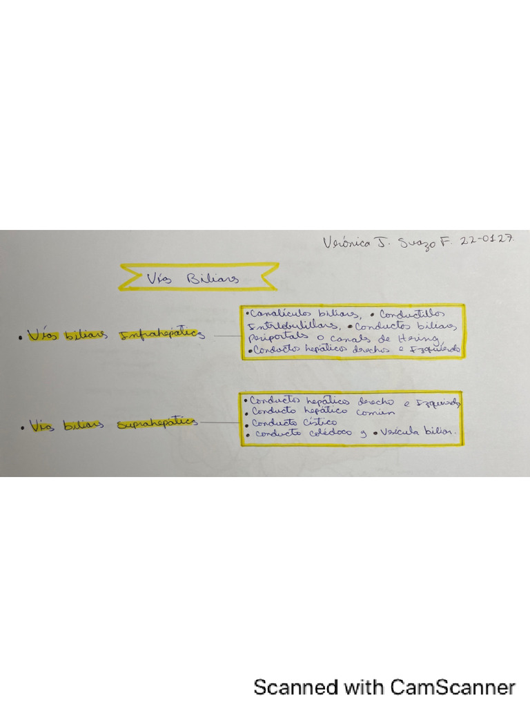 Vías Biliares GGB BBG GFTF BVG NBJH Jnil | PDF