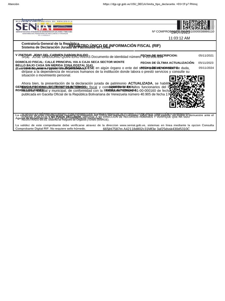 Formato Rif, Declaracion, de Todo | PDF