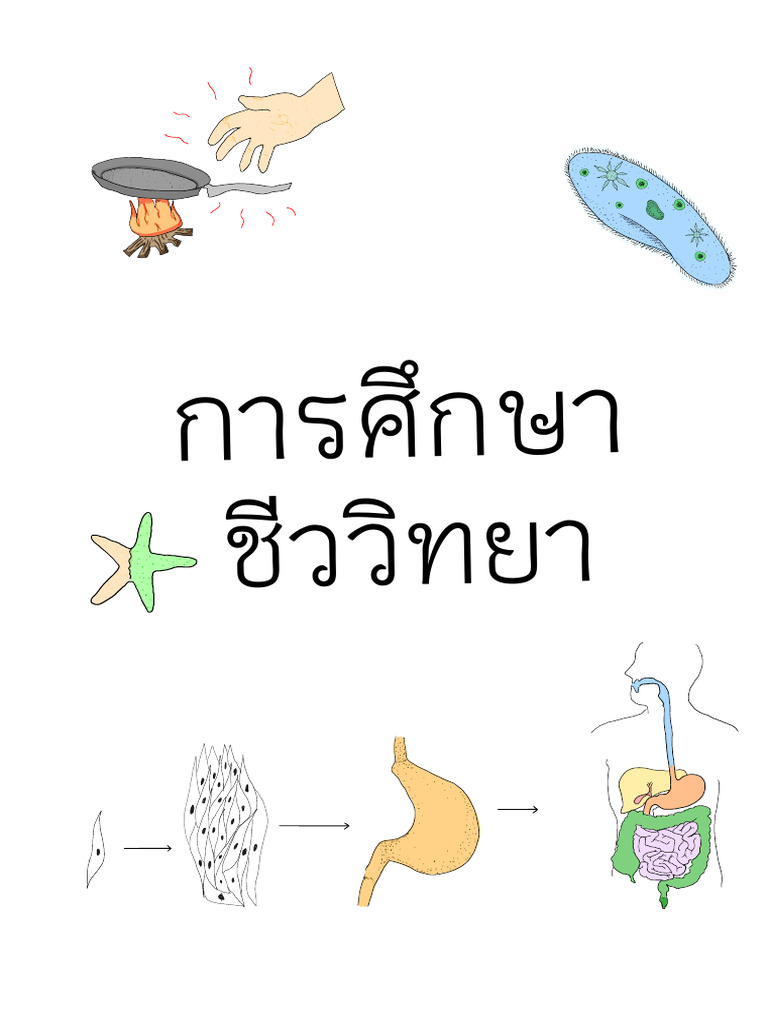 Biology M4 - Unit 1 | PDF