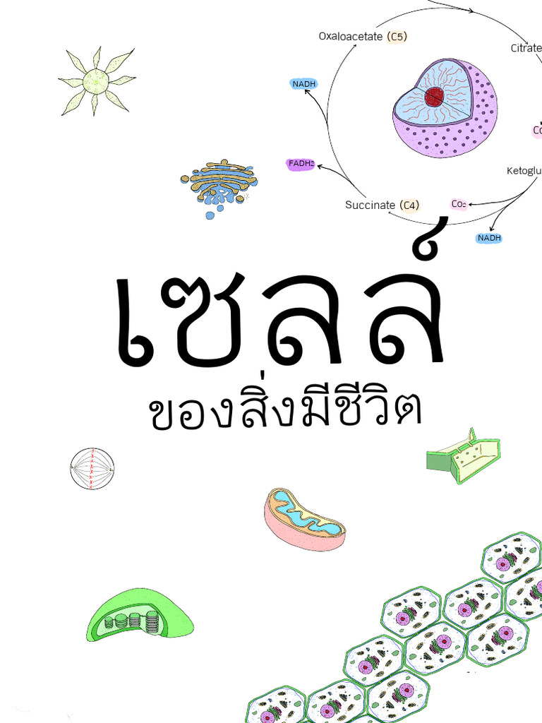 Biology M4 - Unit 3 | PDF