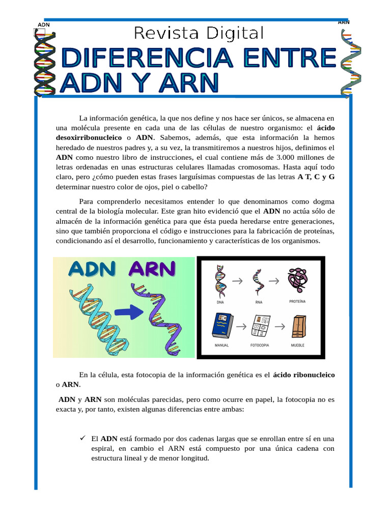 ADN y ARN: Claves de la Genética y Salud | PDF | Adn | Virus