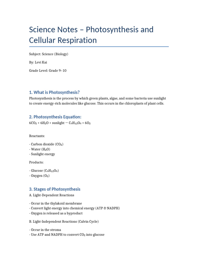 Photosynthesis and Cellular Respiration Notes | PDF