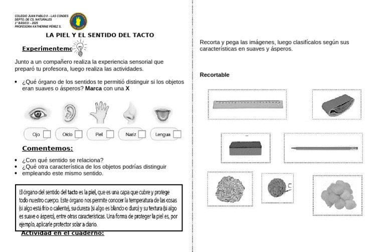 GUÍA 1 - Sentido Del TACTO | PDF