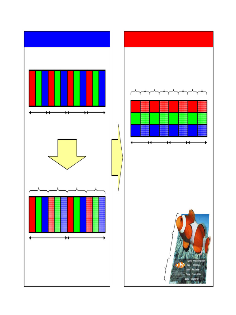 Distribucion de Pixeles | PDF
