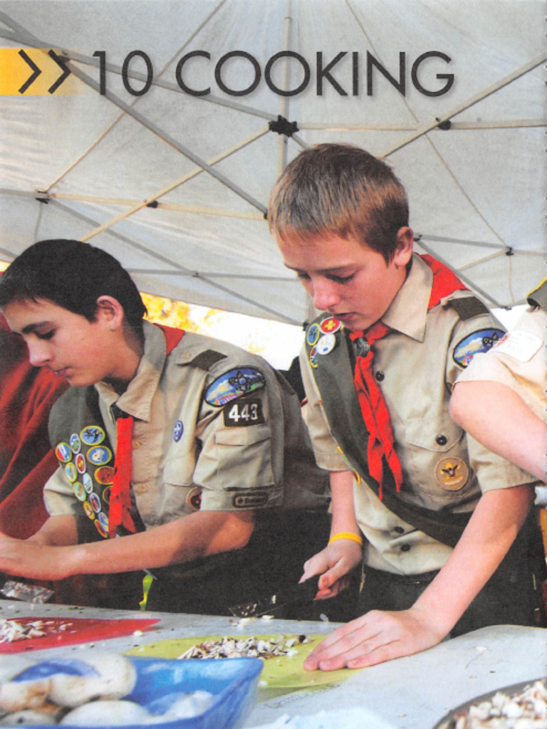 BSH 10 Cooking | PDF | Meal | Kitchen Stove