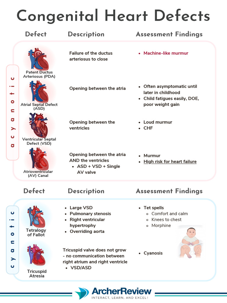 Congenital Heart Defects CS | PDF | Congenital Heart Defect | Ventricle ...