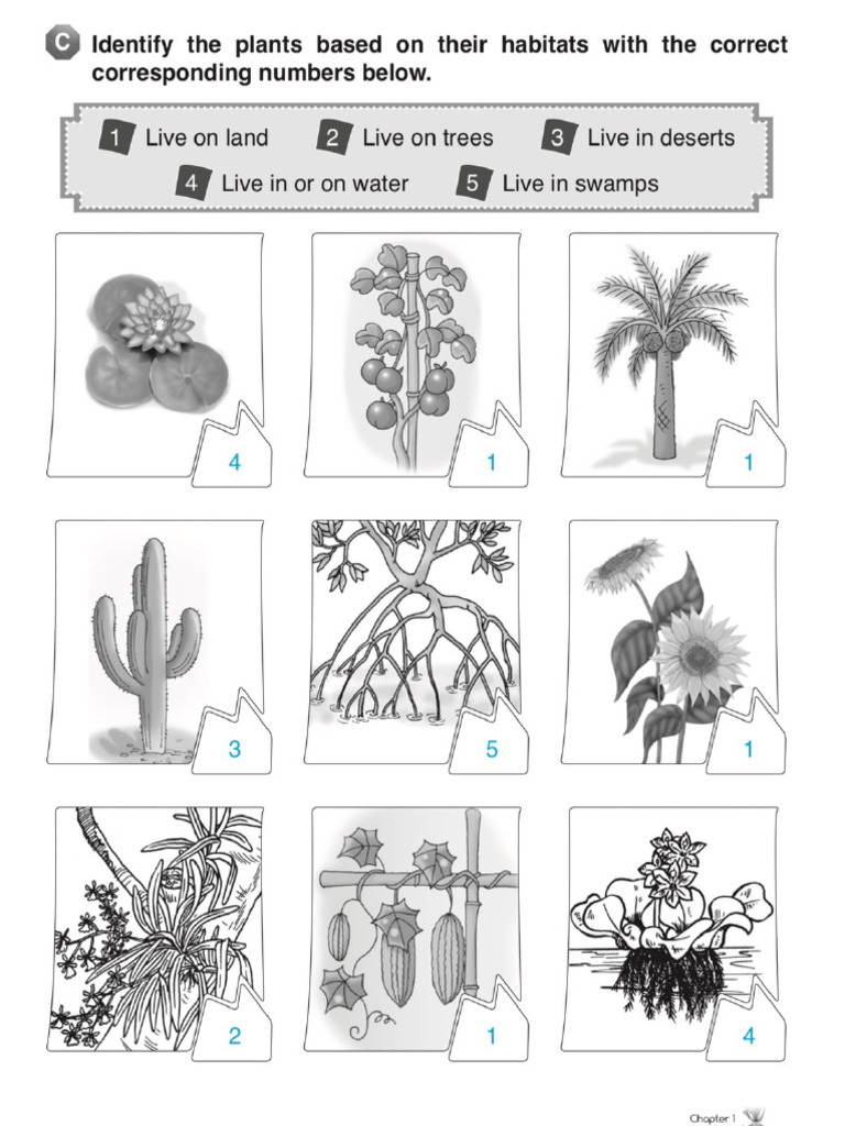 WPS Office Scan 20250711 101259 | PDF