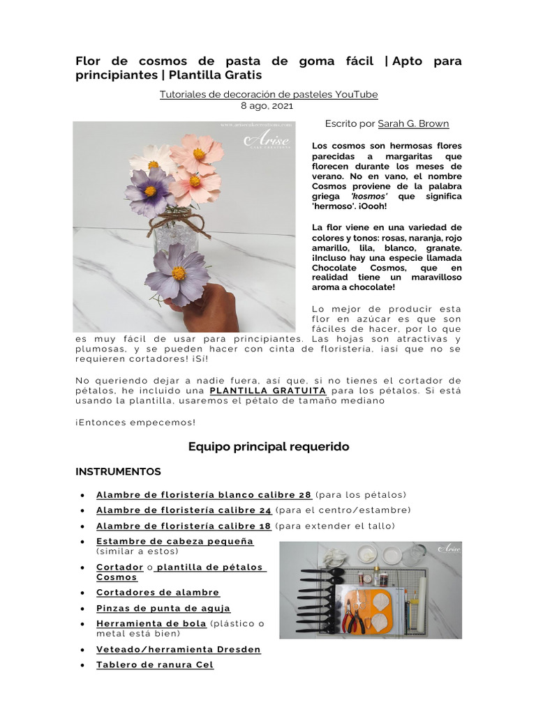 Wafer Paper Cosmos | PDF | Pasta