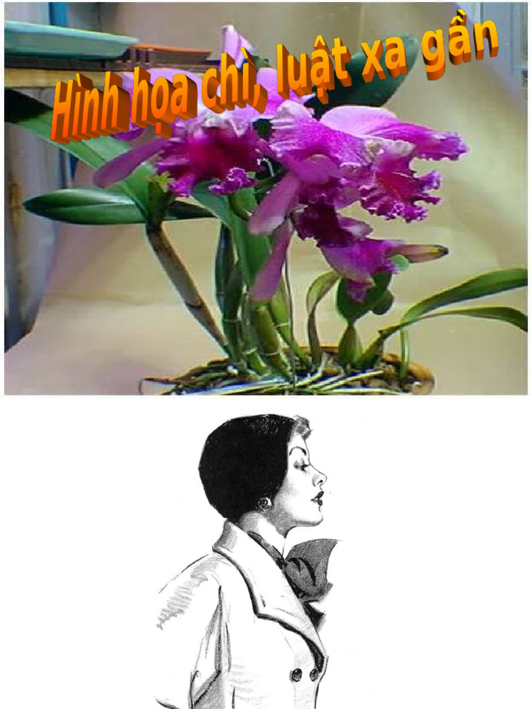 Hinh Hoa Chi Luat Xa Gan Da Chinh Sua | PDF