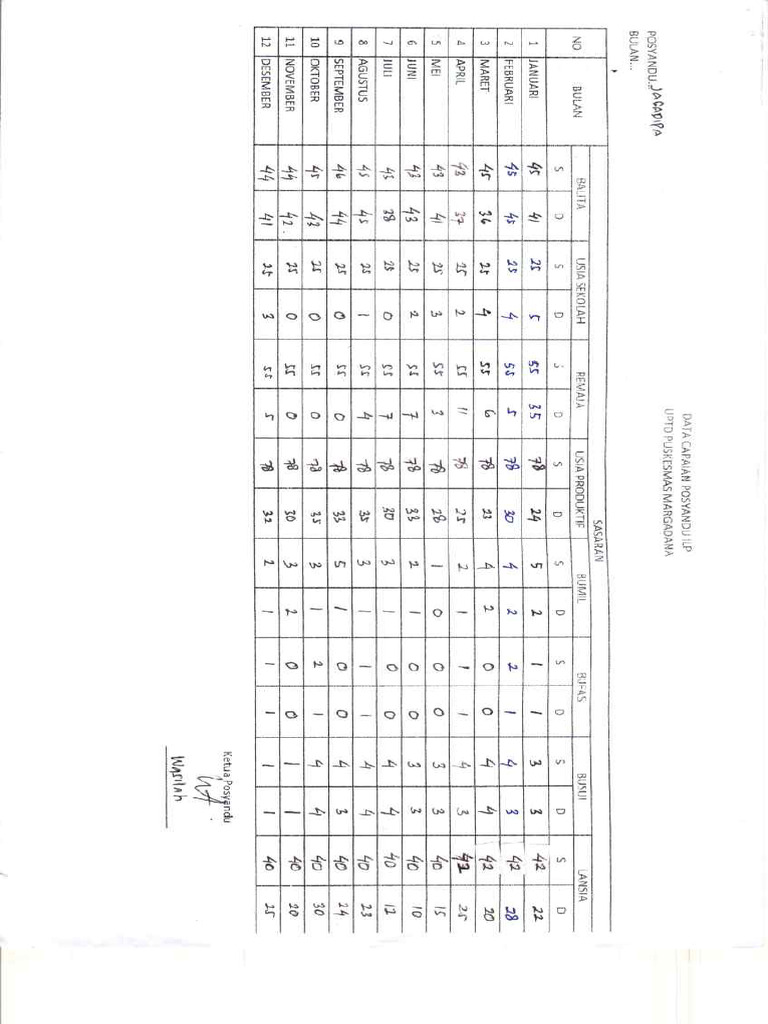 Data Capaian Posyandu ILP | PDF