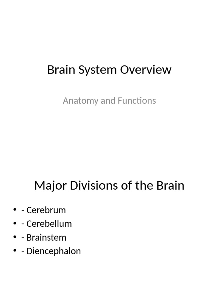 Brain System Overview | PDF