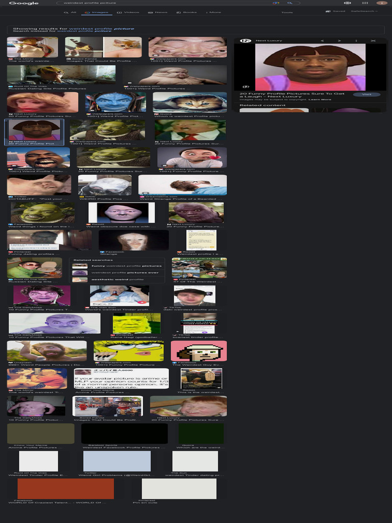 Weirdest Profile Pictures Collection | PDF | Social Information ...