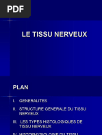 Anatomie du Corps Géniculé Latéral | PDF | Système visuel | Vision