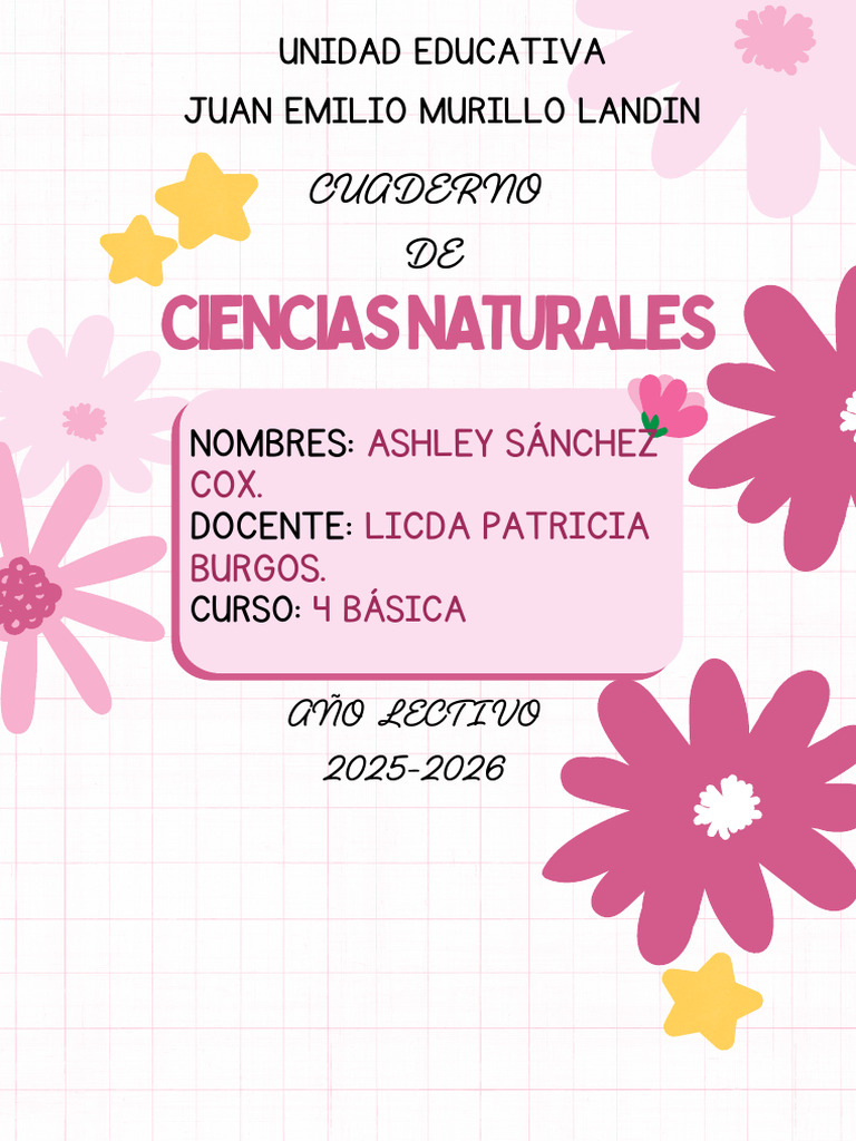 Documento A4 Portada de Proyecto Elegante Sencillo Ilustrado Floral ...