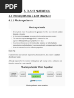 Destarching The Leaf | PDF | Photosynthesis | Leaf
