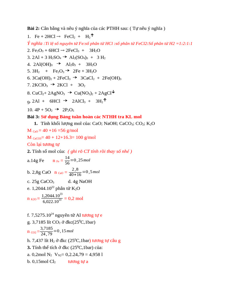 Đáp Án KHTN 8 | PDF