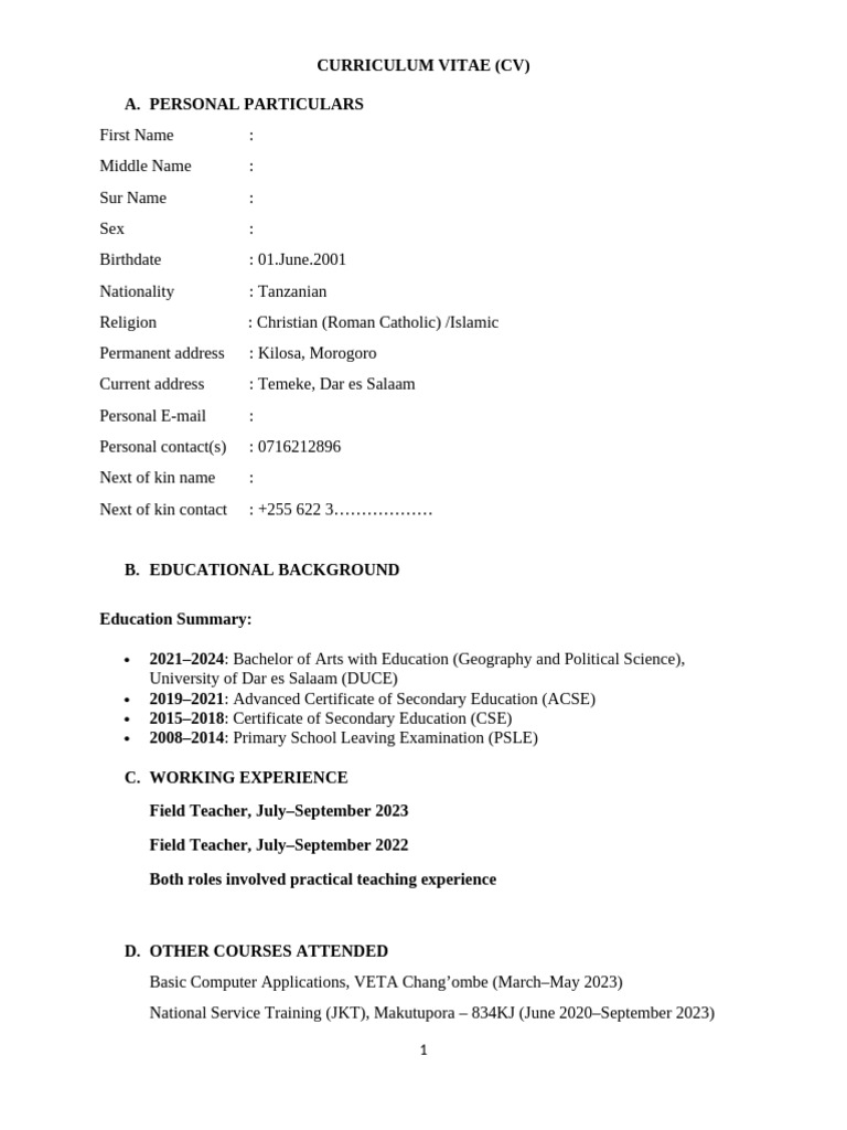 CV Sample v3 | PDF