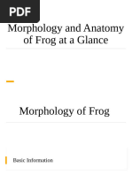 Circulatory System of Frog | PDF | Heart | Atrium (Heart)