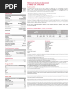 Satrix 40 ETF Fact Sheet - May 2025 | PDF | Investment Fund | Exchange ...