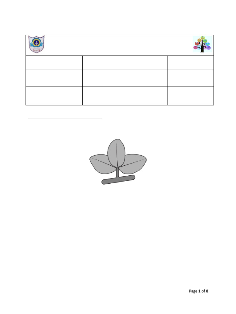 998548-Class 6 - Science - Getting To Know Plants - Ws With Ans ...