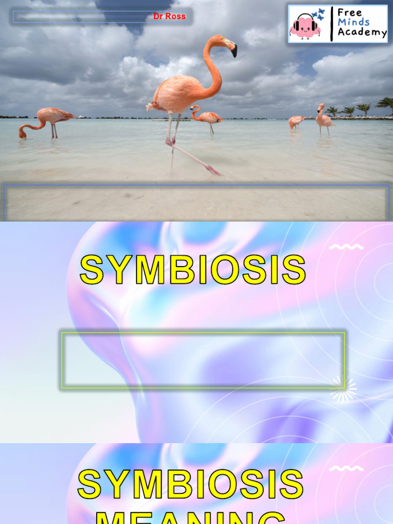 Lesson 6 - Population Ecology 3 - Symbiosis - Term 3 - G11 | PDF ...