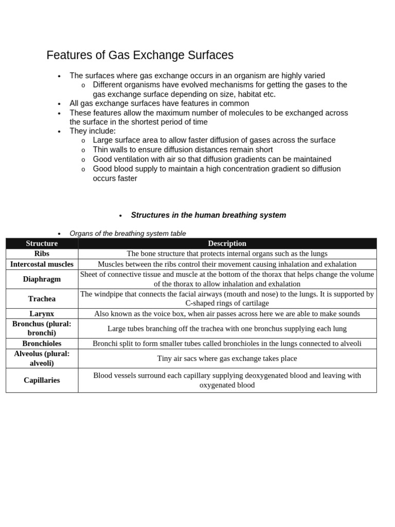 Characteristics of Gas Exchange Surfaces | PDF | Lung | Respiratory System