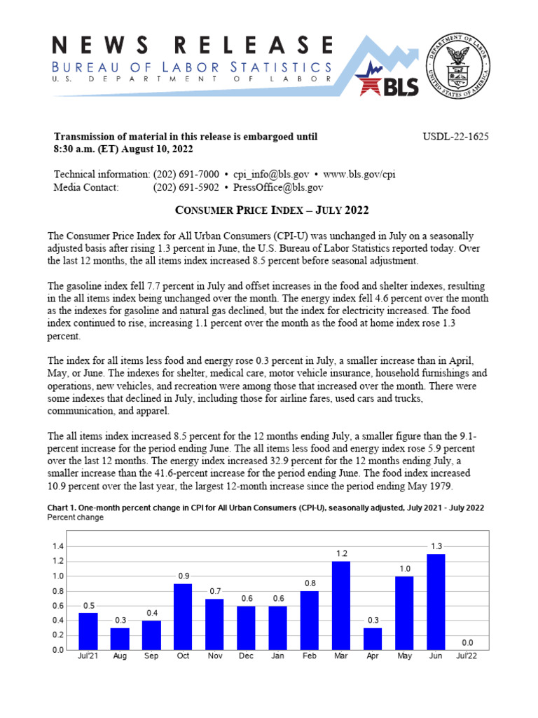 CPI Report for July 2022 Insights | PDF | Consumer Price Index | United ...