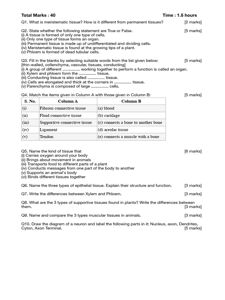 Plant and Animal Tissue Overview | PDF | Tissue (Biology) | Zoology