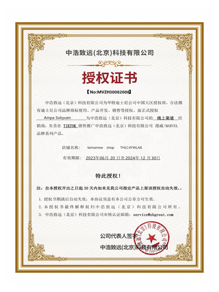 Second Level Authorization | PDF