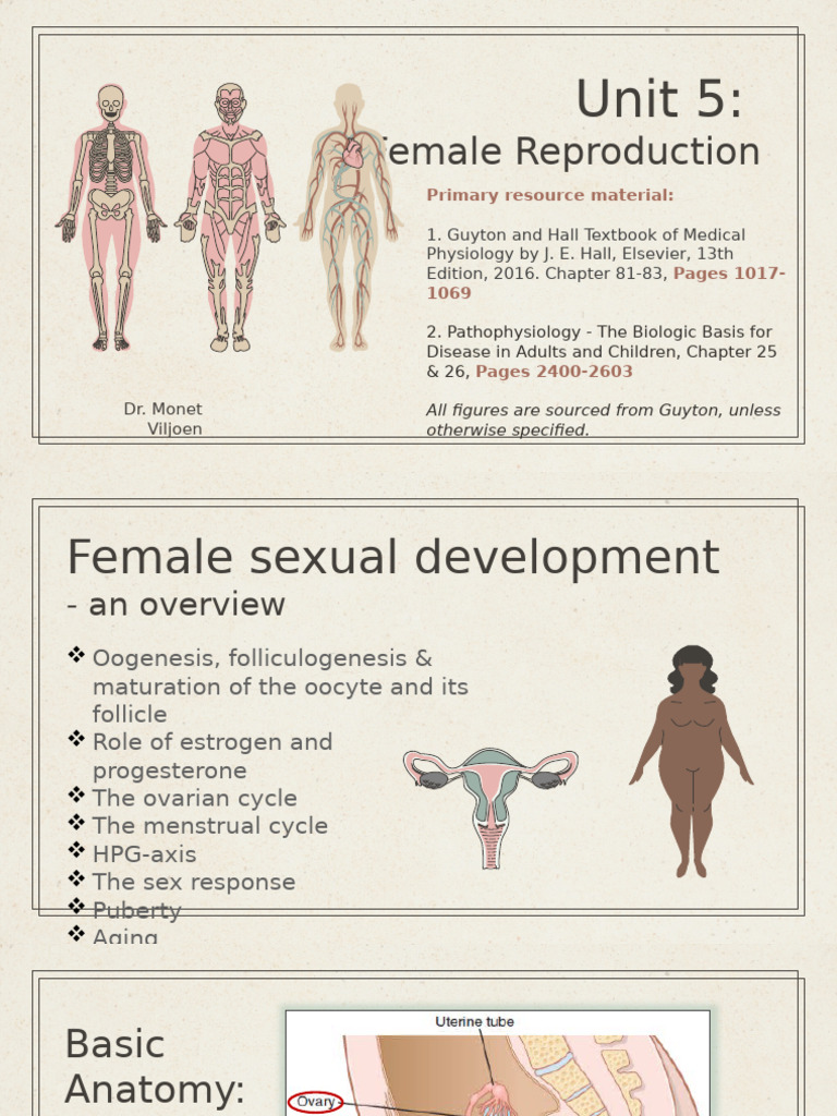 Female Reproduction Part 1 Slides | PDF | Menstrual Cycle | Luteinizing ...