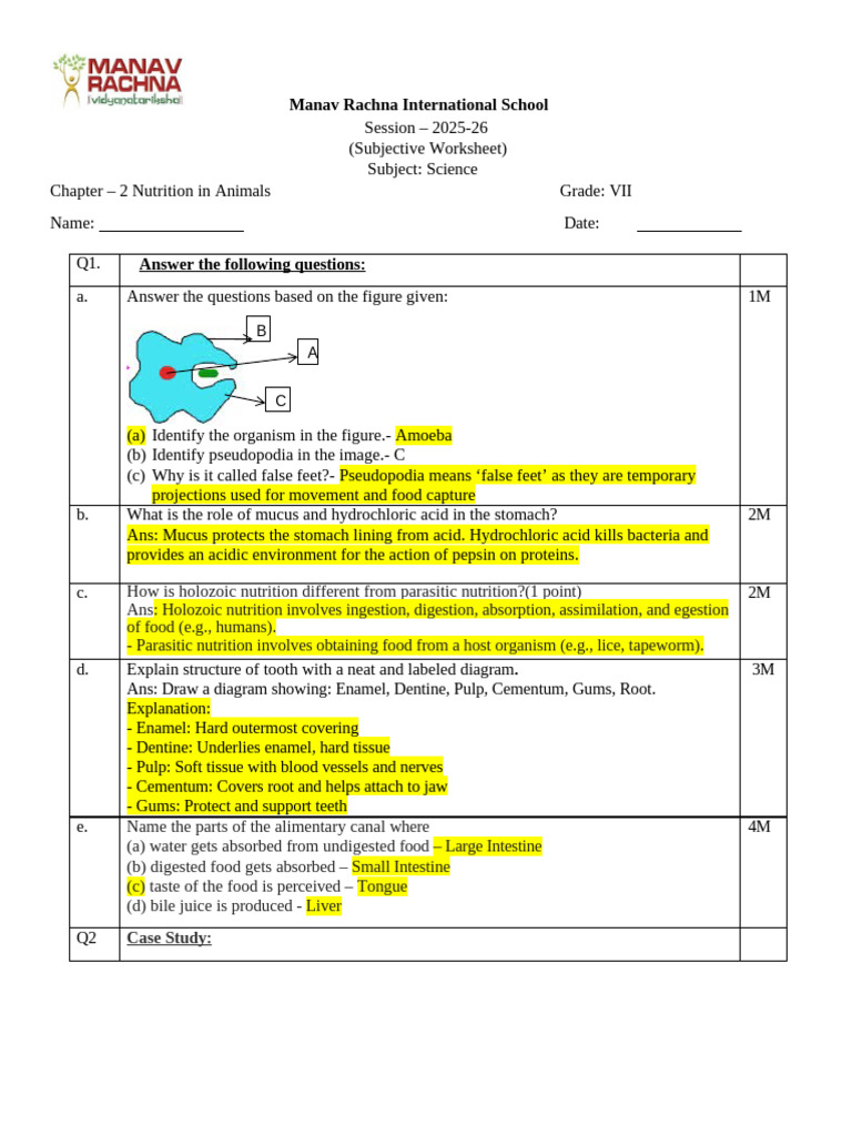 Nutrition in Animals Answer Key 4 | PDF | Foods | Digestion