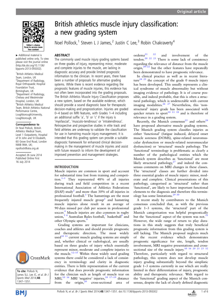 New Muscle Injury Grading System | PDF | Skeletal Muscle | Magnetic ...