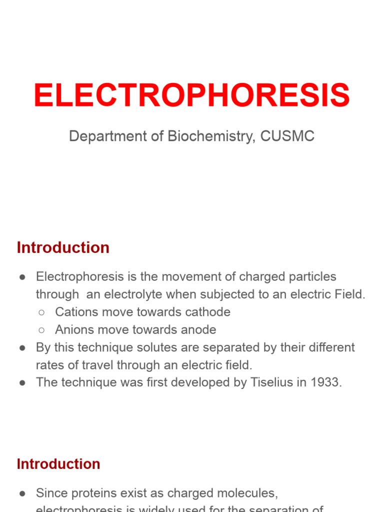 BT01 - Electrophoresis MBBS | PDF | Gel Electrophoresis | Polyacrylamide Gel Electrophoresis