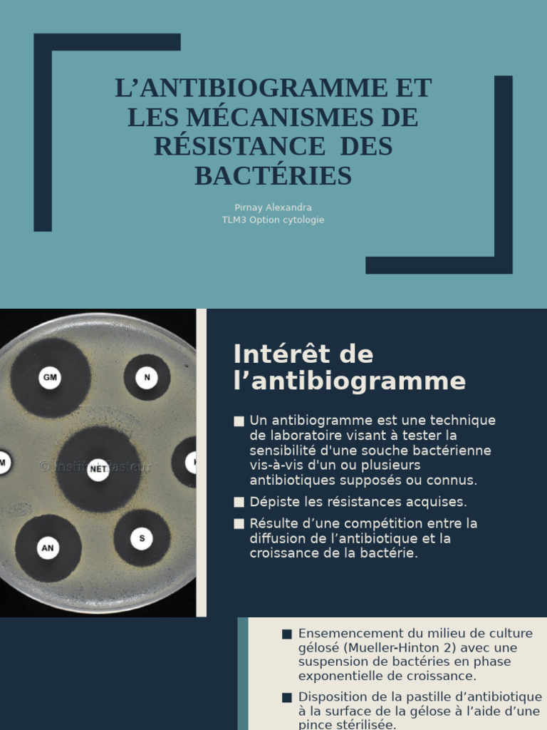 Antibiogramme et résistance bactérienne | PDF | Organismes | Produits ...