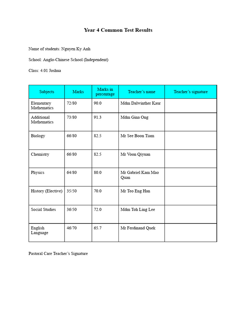 Year 4 Common Test Results | PDF
