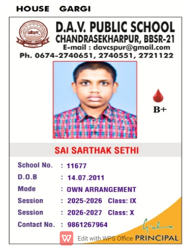 Id Card IX | PDF
