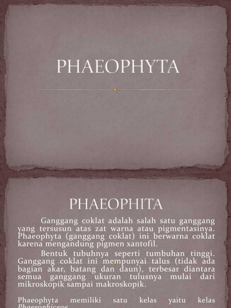 PHAEOPHYTA | PDF | Kesehatan Holistik