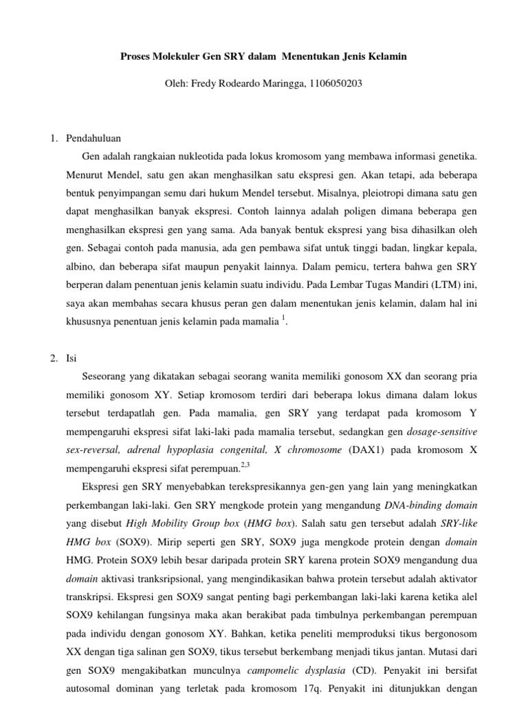 Proses Molekuler Gen SRY Dalam Menentukan Jenis Kelamin | PDF