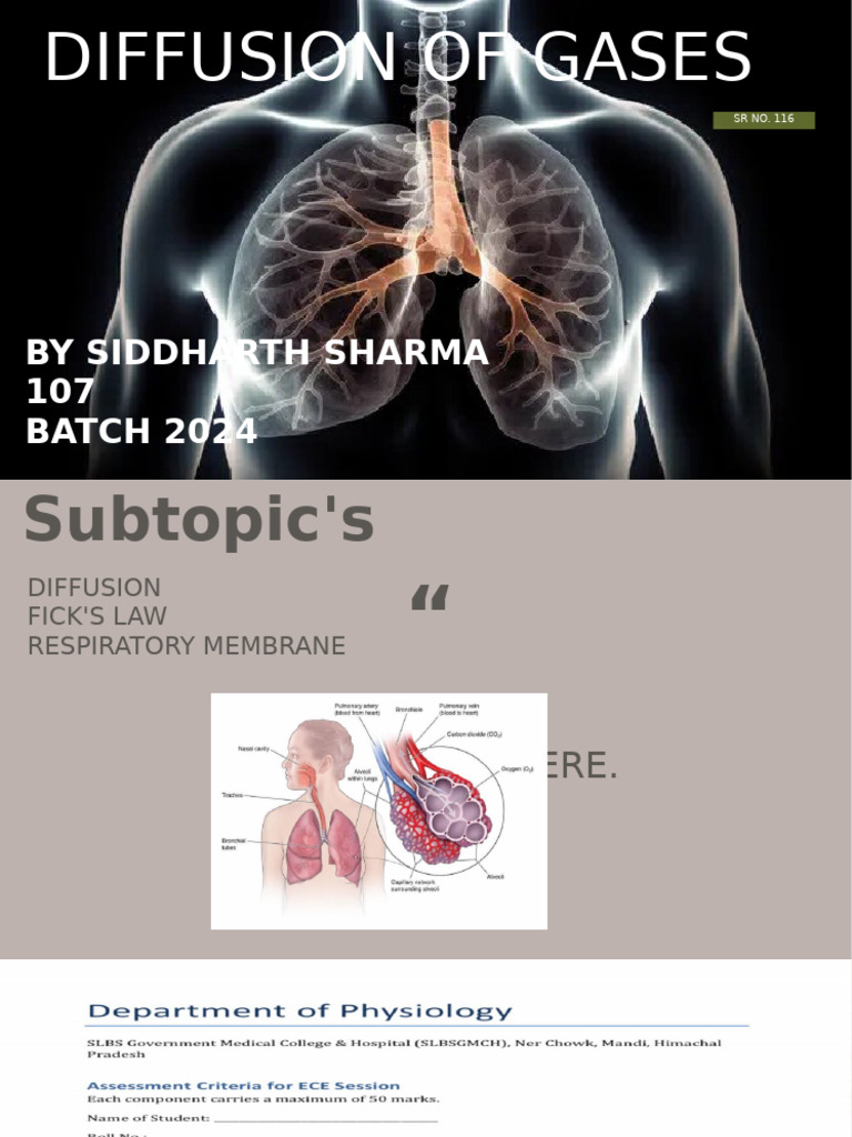 Diffusion of Gases With Animations | PDF