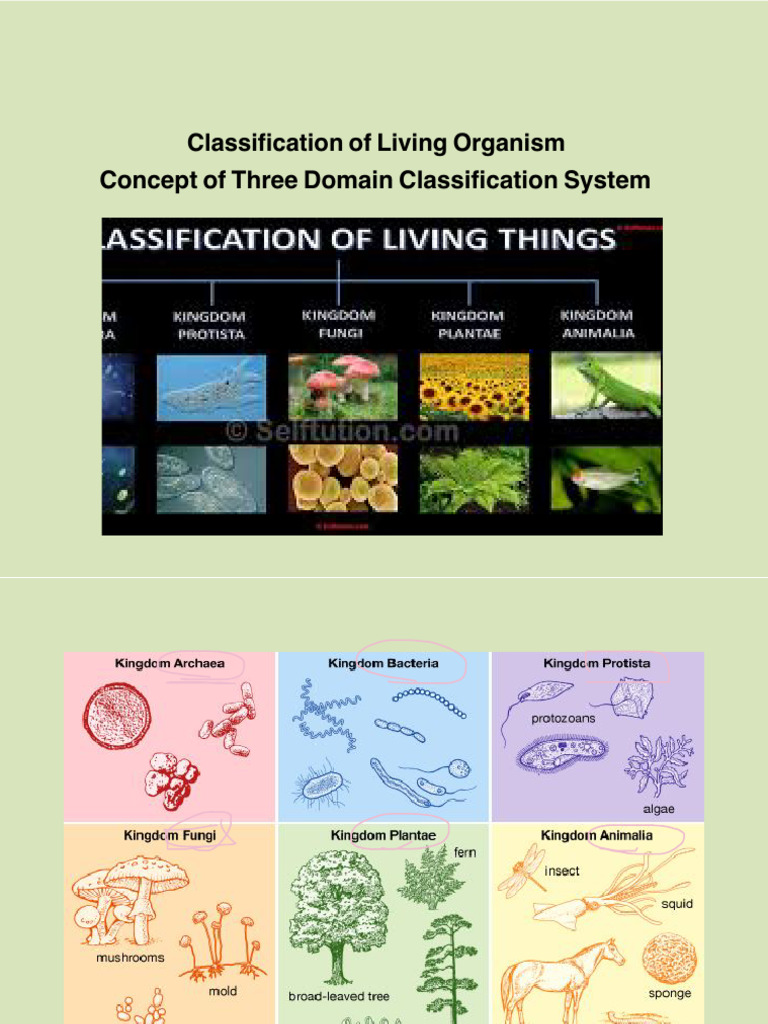 2 - Classification of Living Organisms | PDF