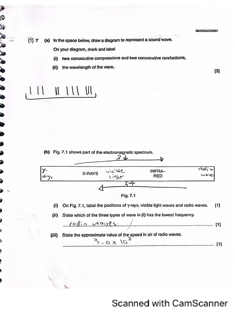 Assignment 32 Nouran Samer | PDF